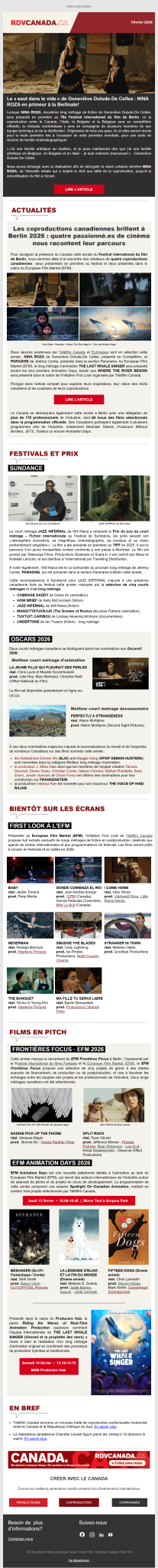 difuze - Compagnie audiovisuelle canadienne