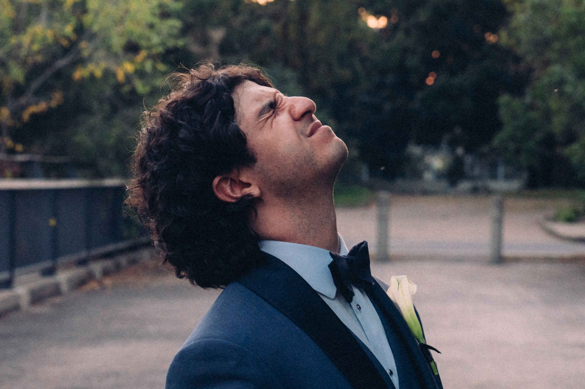 Canada at TIFF 2025 - TIFF 2025